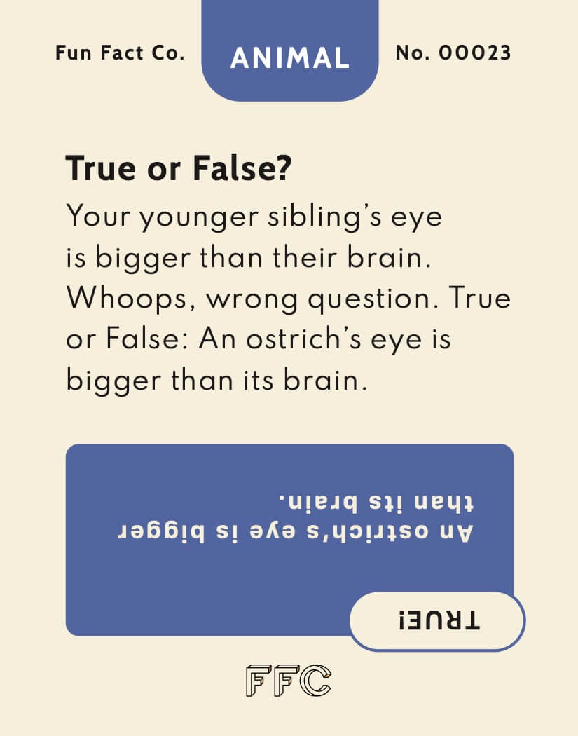 The Party Mix: A Fun Fact Trivia Card Game | Fun Fact Co.