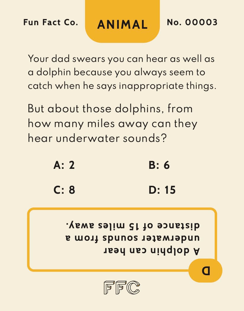 The Party Mix: A Fun Fact Trivia Card Game | Fun Fact Co.