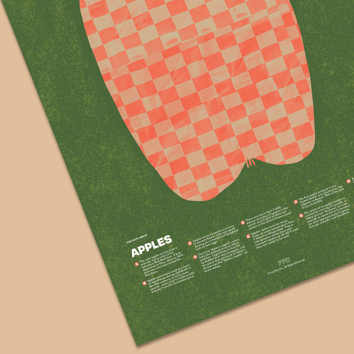 Fun Fact Co. | Factual Funny Trivia Card Games for Smart People