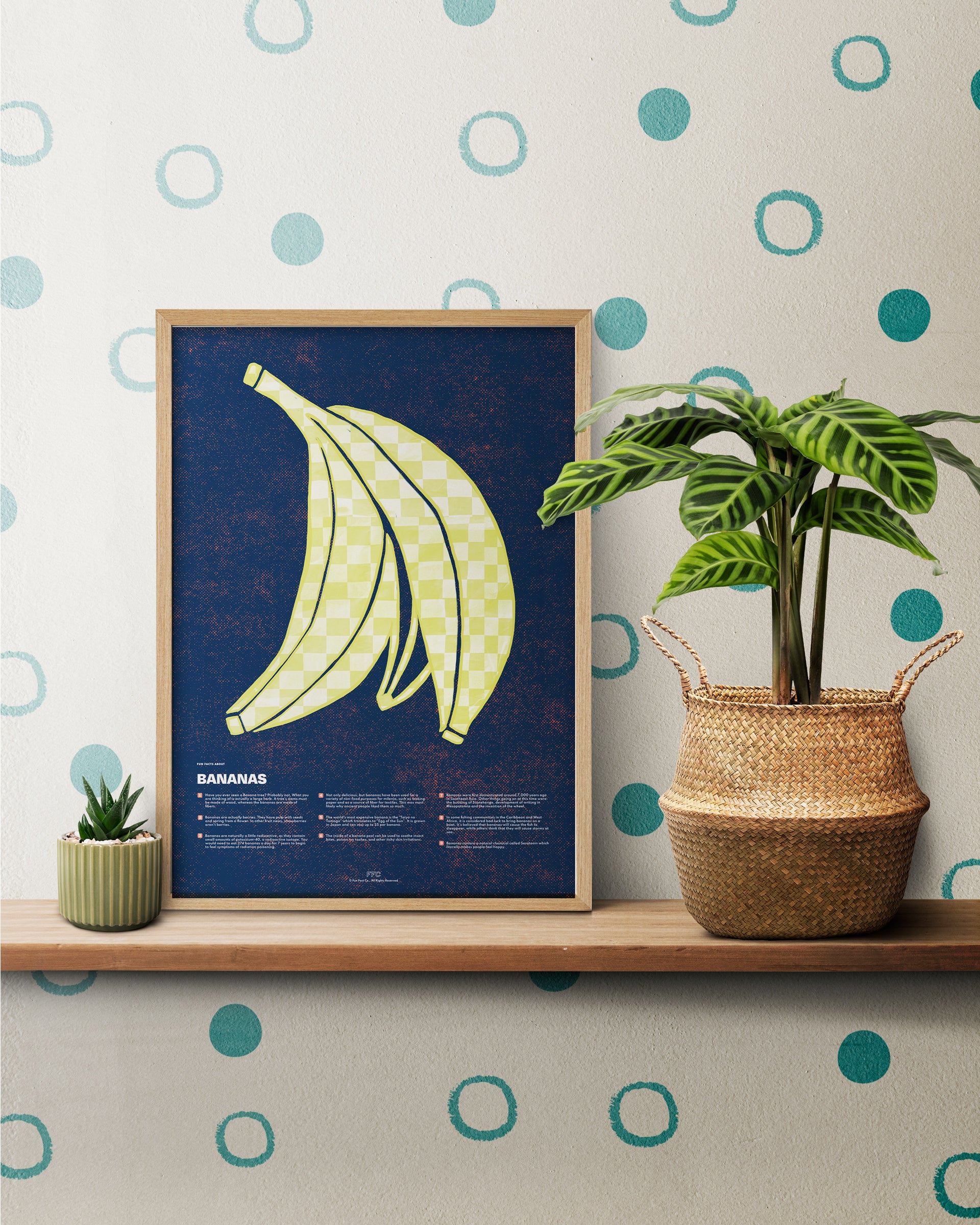 Banana Fun Facts Print | Fun Fact Co.