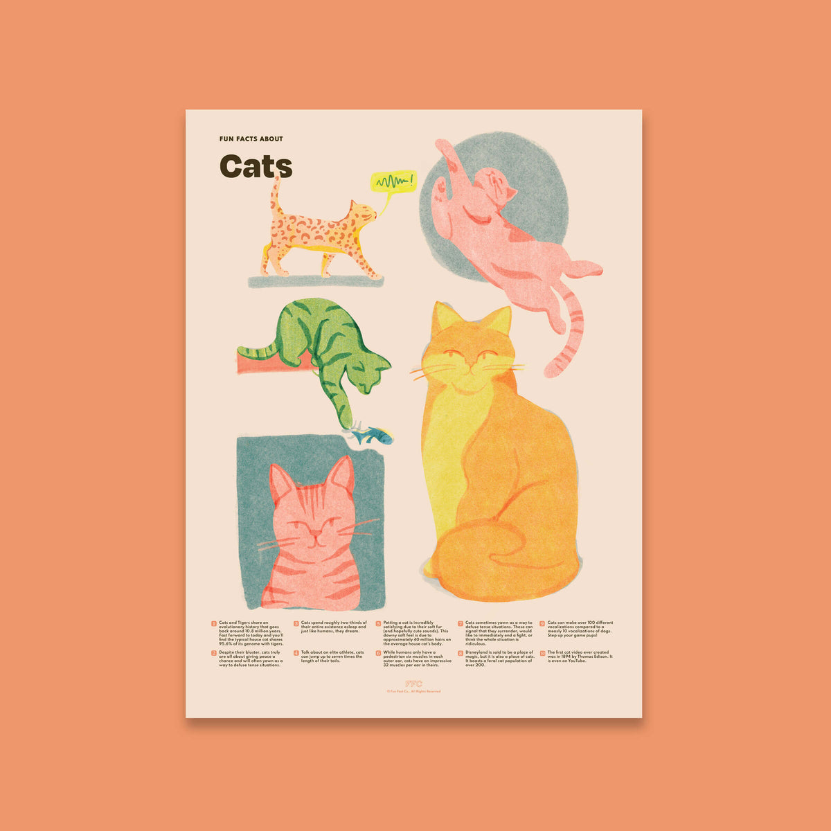 Fun Fact Prints and Artwork | Fun Fact Co.
