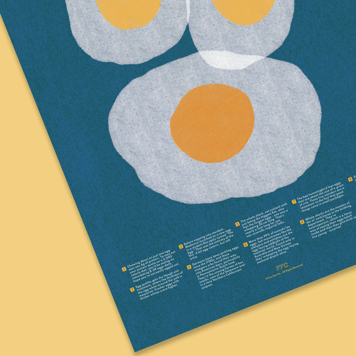 Fun Fact Prints and Artwork | Fun Fact Co.