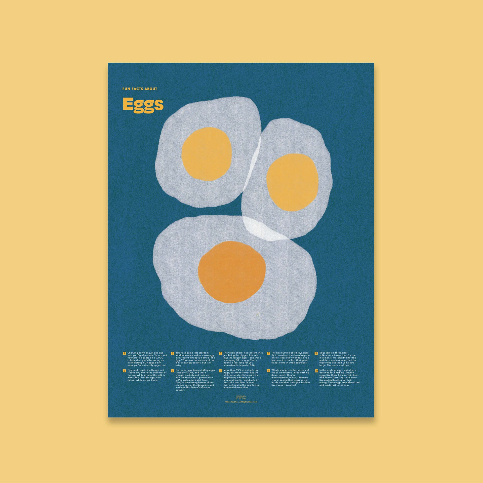 Fun Fact Prints and Artwork | Fun Fact Co.